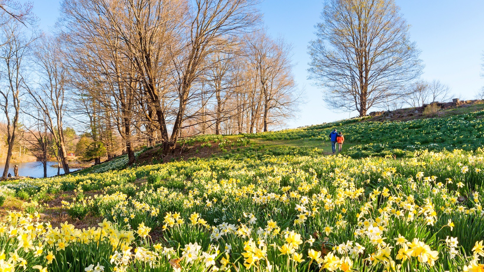 Home - Middlesex County Chamber of Commerce